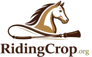 What Is a Riding Crop? Uses, Types & Safe Horse Training Guide